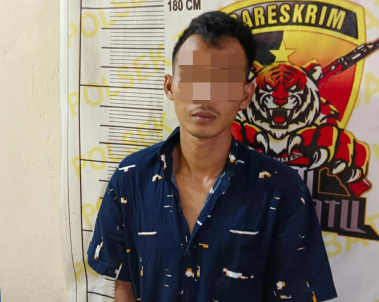 Buron berbulan-bulan, DPO kasus curat di Ogan Ilir ditangkap Tim Rimau Batu
