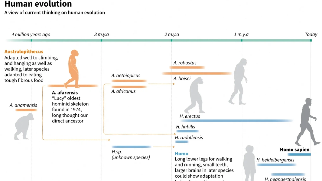 Seven once-common social norms vanish in rapid cultural shift