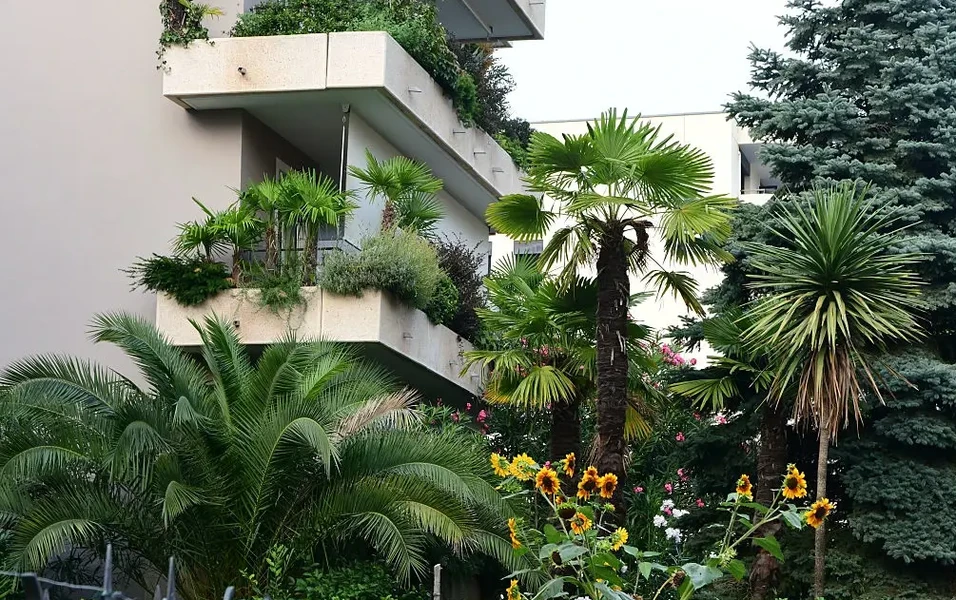 Small balcony gardens that spark big joy