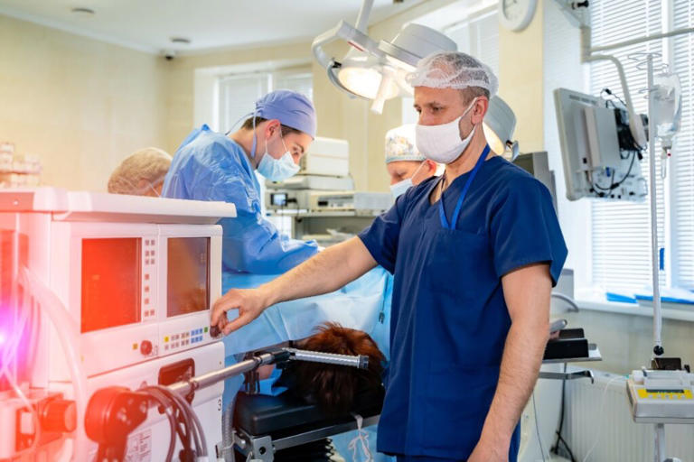 Who succeeds best in fast‑paced allied health roles?