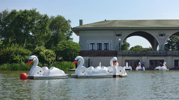 Rejoice, Chicagoans! Humboldt Park’s swan boats are making a triumphant ...