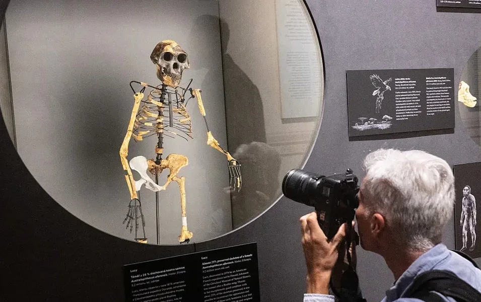 Study finds major body size leap in human evolution