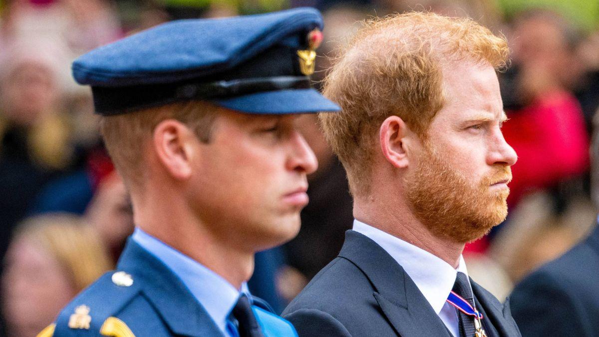 Prince Harry unlikely to see estranged brother Prince William during UK ...