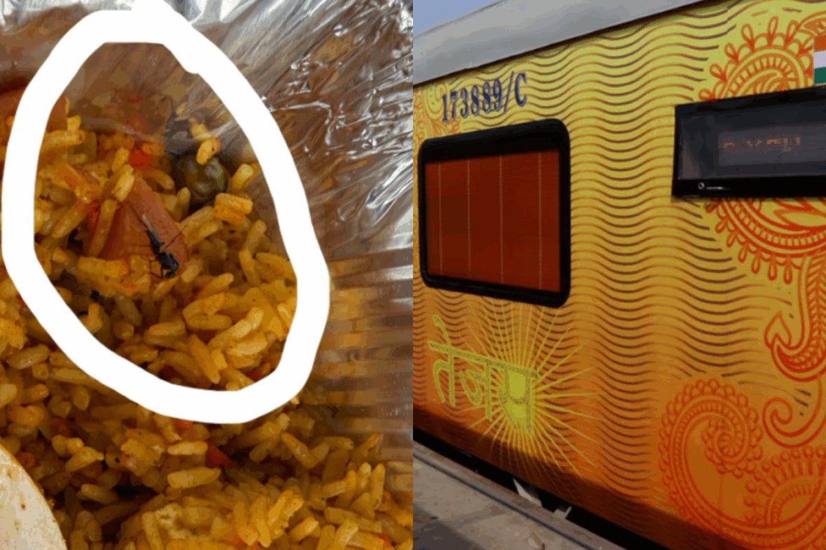 Passenger says he found insect in his food aboard Tejas Express to ...