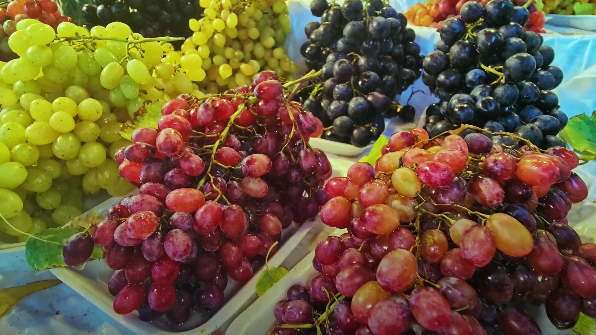 Comer uvas pode deixar a pele mais resistente ao sol, aponta estudo
