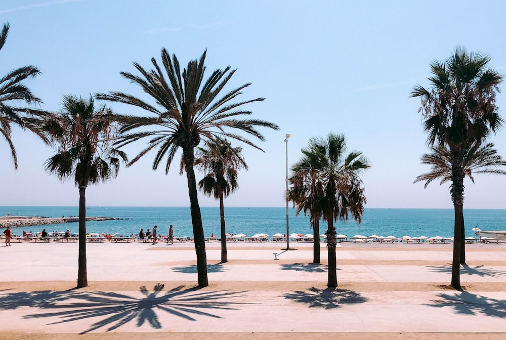 28 cruise port walking routes you can do without a guide