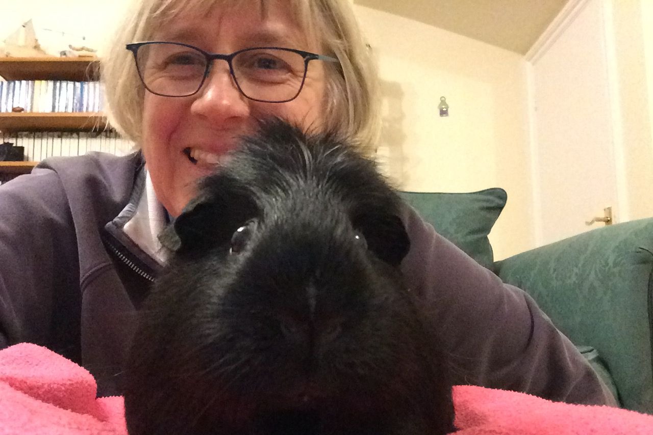 Blue Cross in Kimpton in urgent call for foster carers for pets