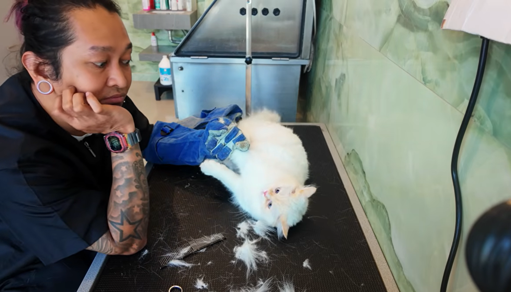 Cookie’s challenging first grooming session