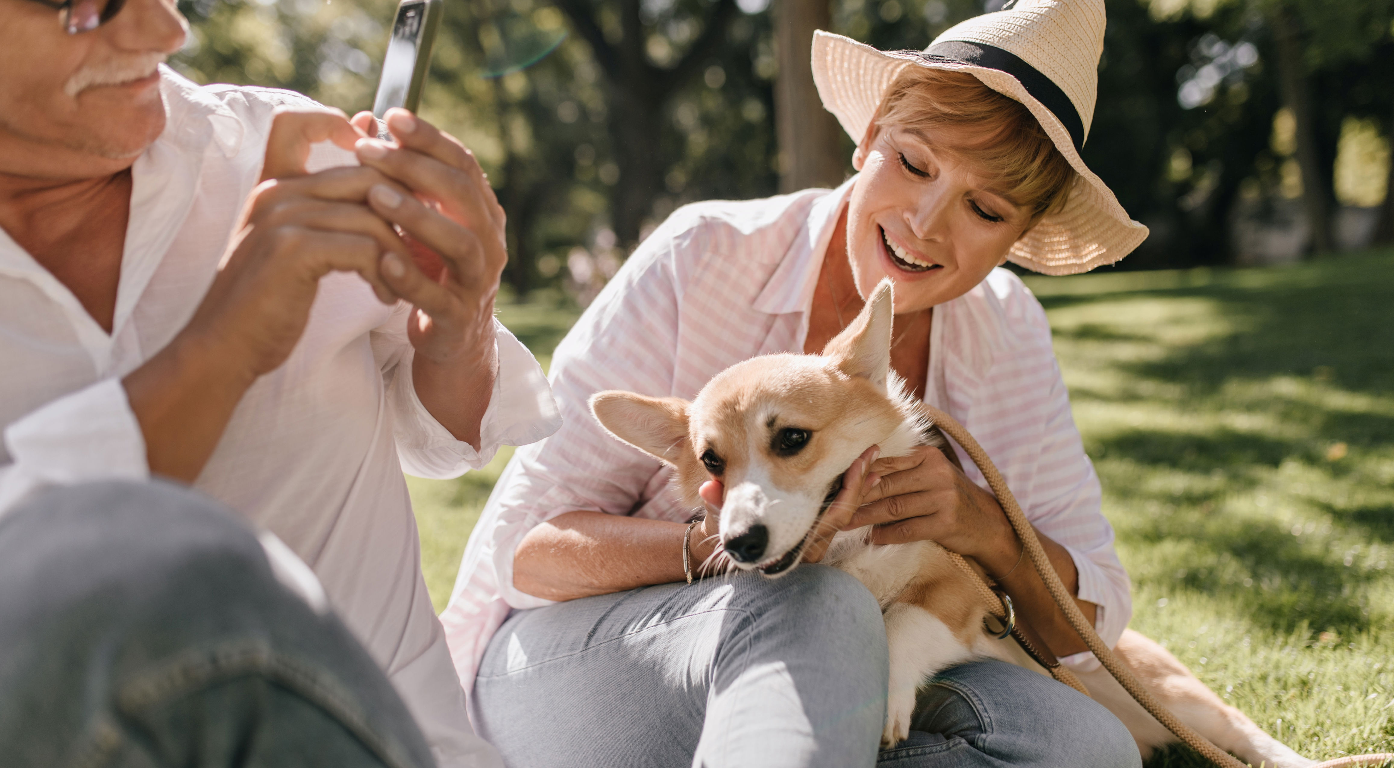 Don't let the tax tail wag the lifestyle dog: Why moving to a no-income ...