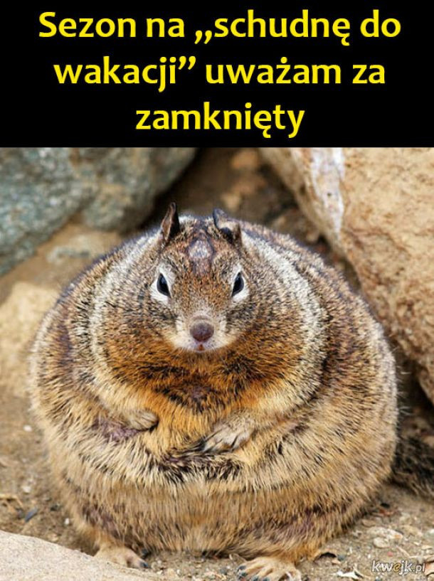 Wakacje w krzywym zwierciadle. Oto najlepsze memy o letniej przerwie od ...