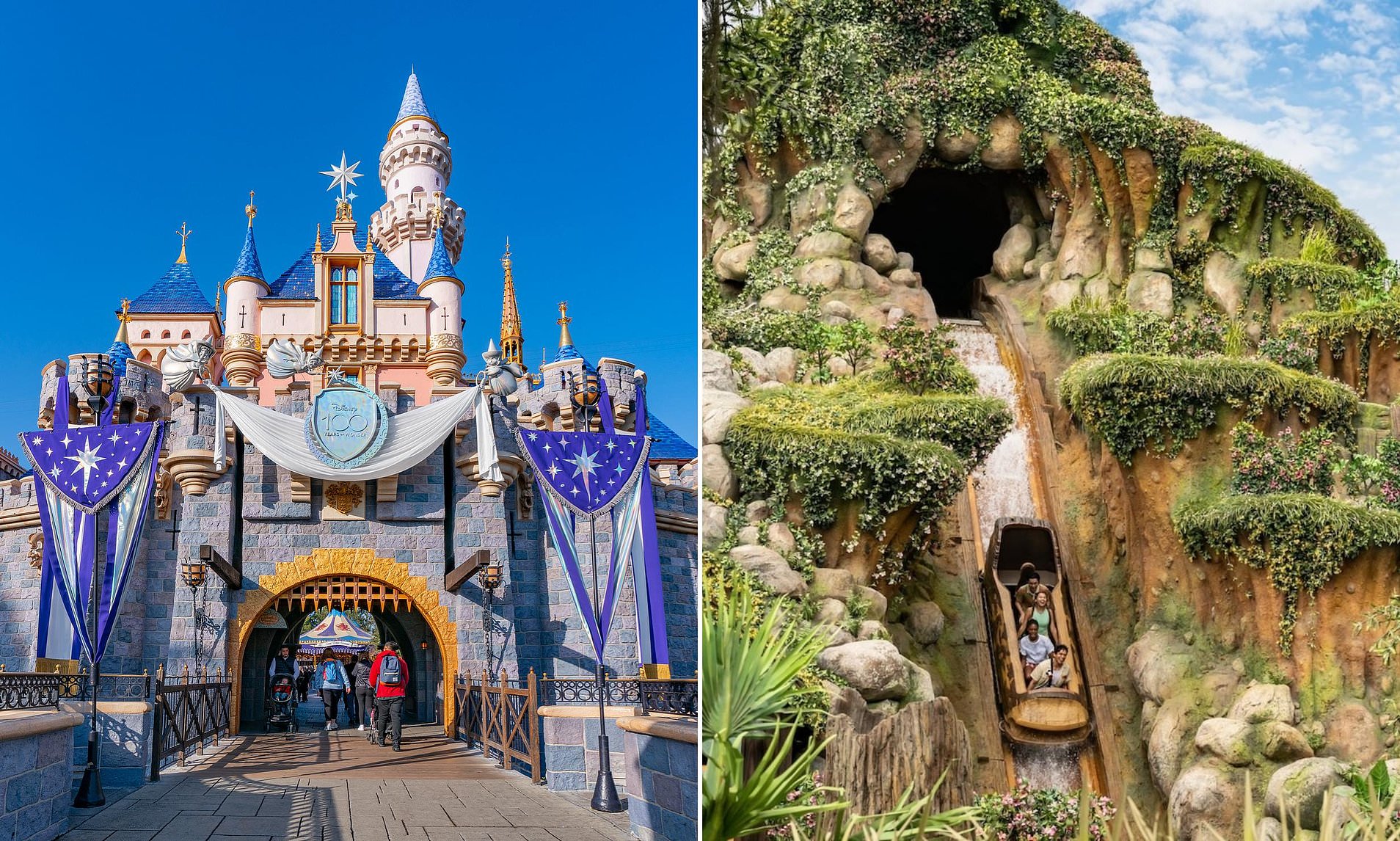 Horror at Disneyland as boy, 13, plunges down 50-foot drop after ...