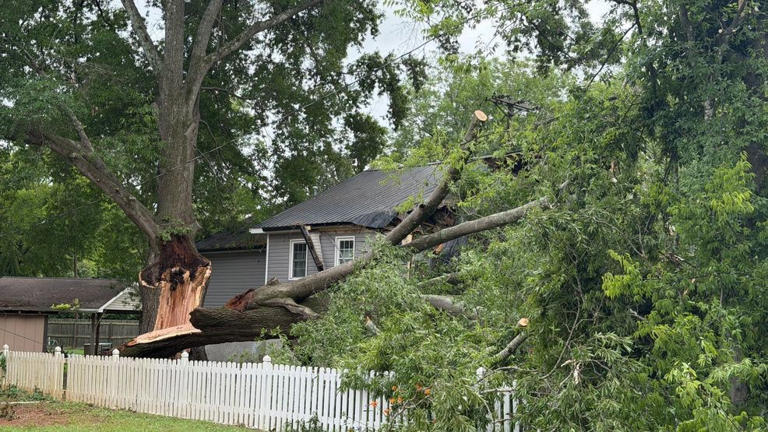 Single mom narrowly escapes Chickamauga home with 2 children as storm ...
