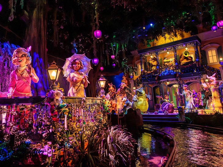 Boy plunges 50 feet at Disneyland's Tiana’s Bayou Adventure after ...