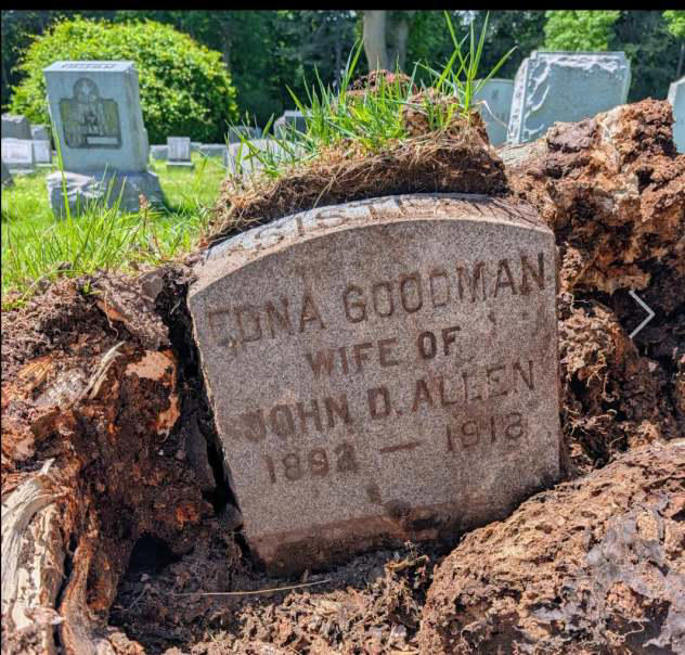 Storm knocks down tree, exposes hidden 100-year-old gravestone