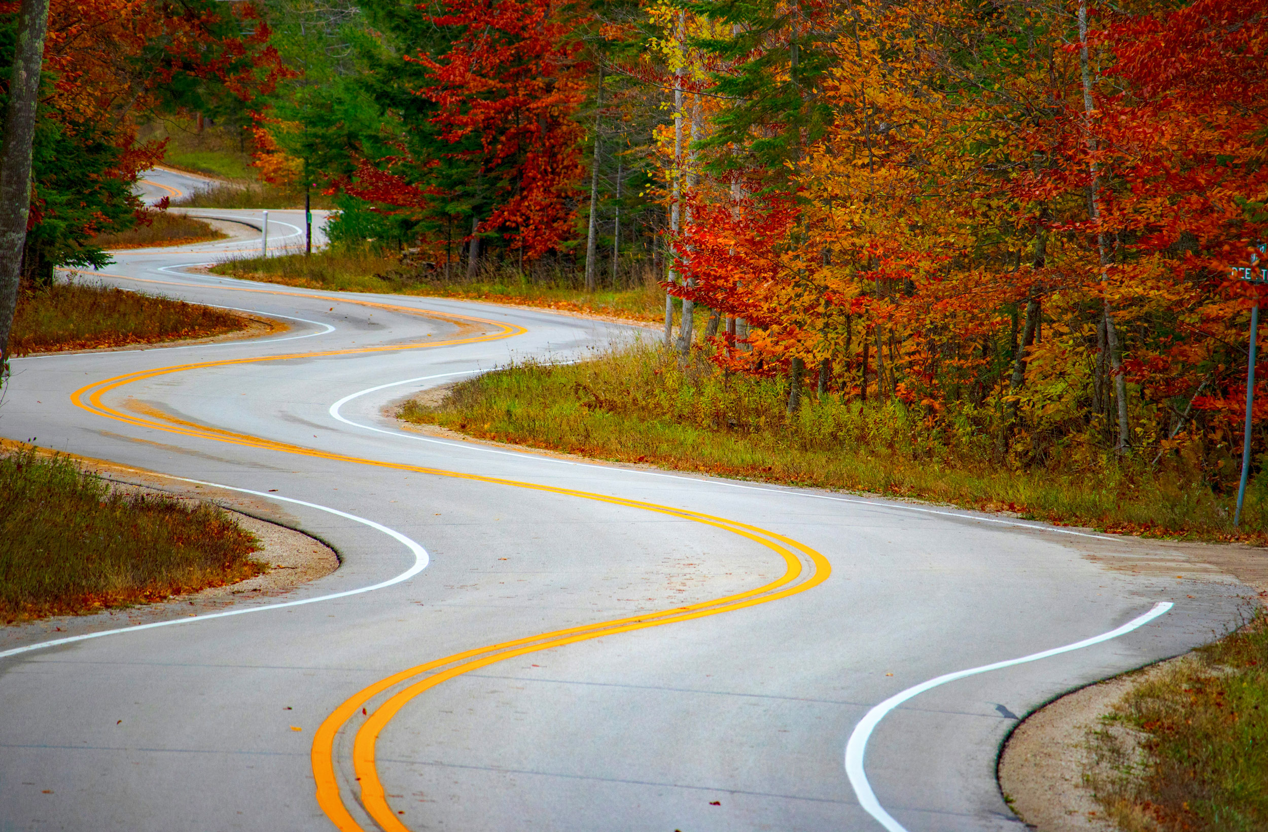 According to you: Favorite driving roads of 2026