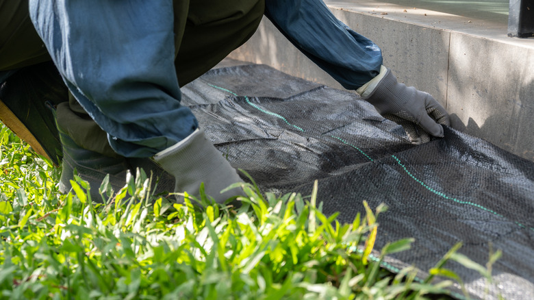 Ditch traditional landscape fabric: Here's a better, more eco-friendly ...