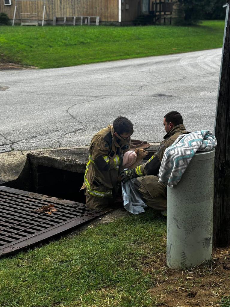 Paragould firefighters rescue puppy from storm drain