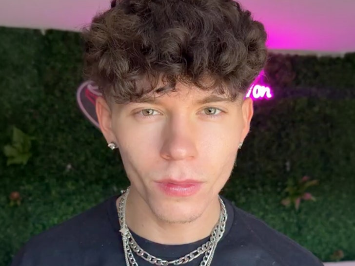 Porn star Drake Von had nitrous oxide tanks in Tesla during DUI arrest ...
