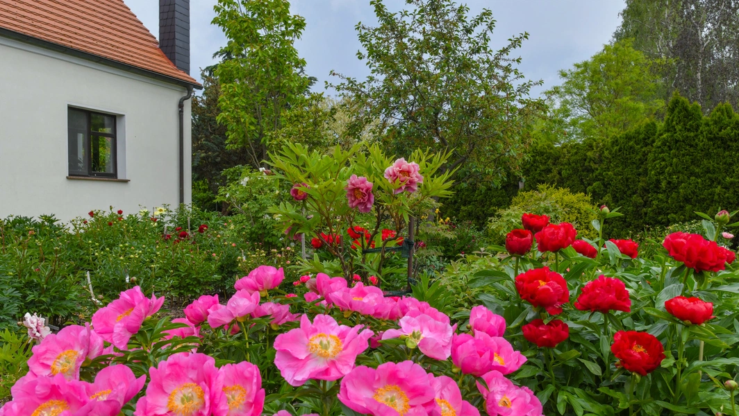 18 beautiful and resilient plants for diverse gardens