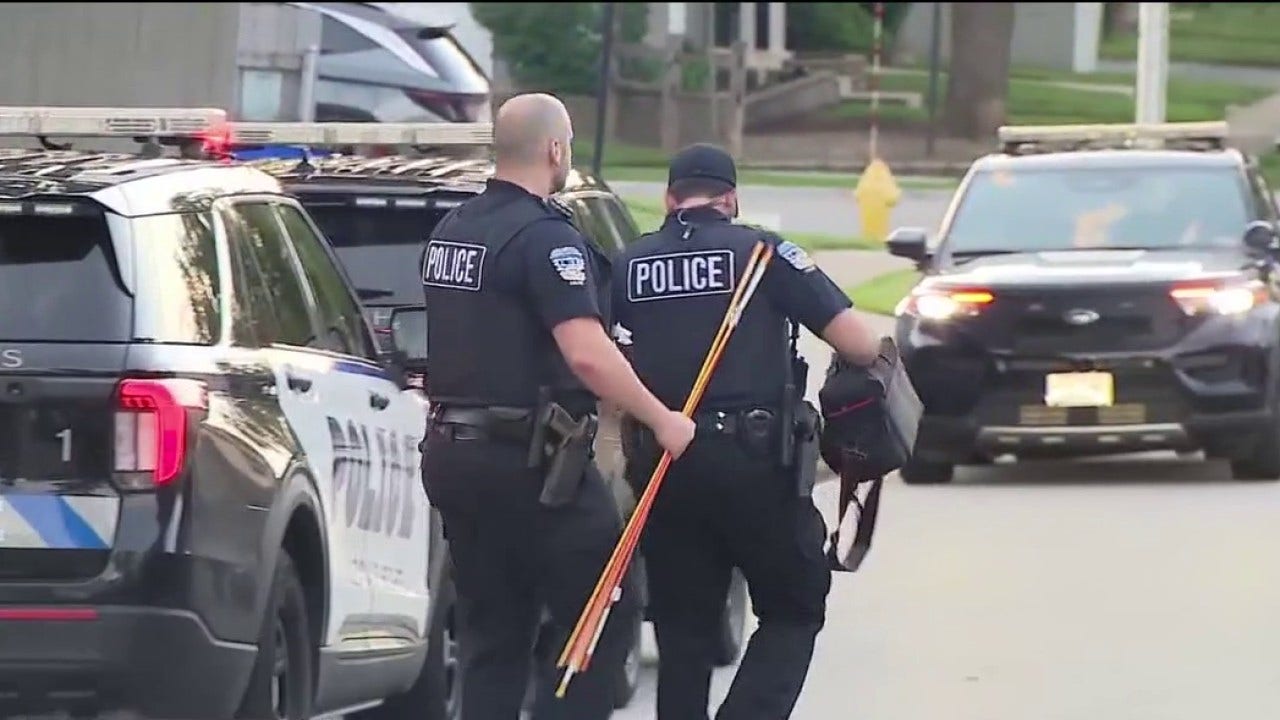 Suburban Chicago man charged after gun fires through wall, injures ...