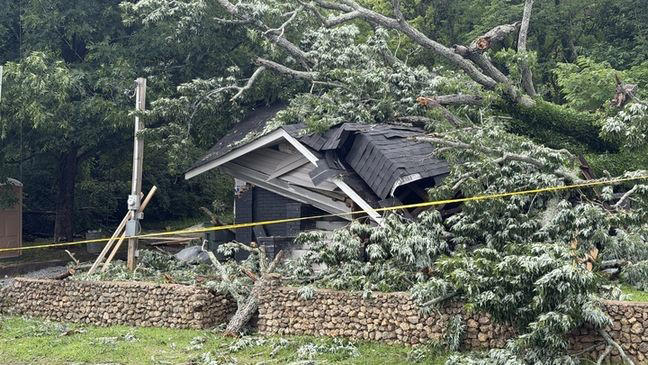 Trees from Monday's storms damage homes in Chickamauga, Chattanooga ...