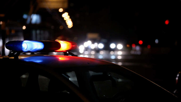 Manhunt for accused gunman who shot teenager, South Carolina sheriff says