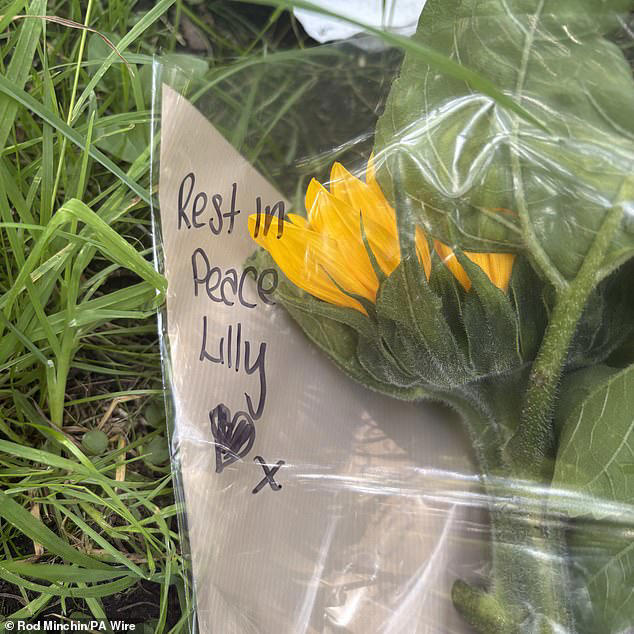 Body of 'murdered' schoolgirl, 14, was missed after being 'hidden in ...