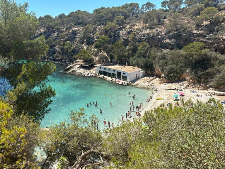 Die schönsten Buchten von Mallorca: Diese einsamen und geheimen Strände ...