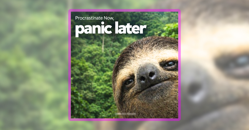32 slow animal memes to chill in peace for a little while