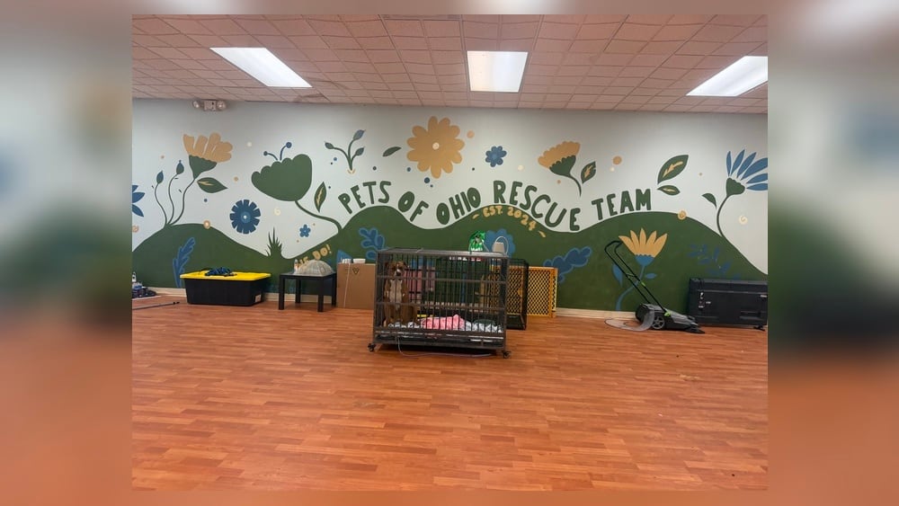 New pet rescue opens its doors, takes in stray dog during WHIO interview