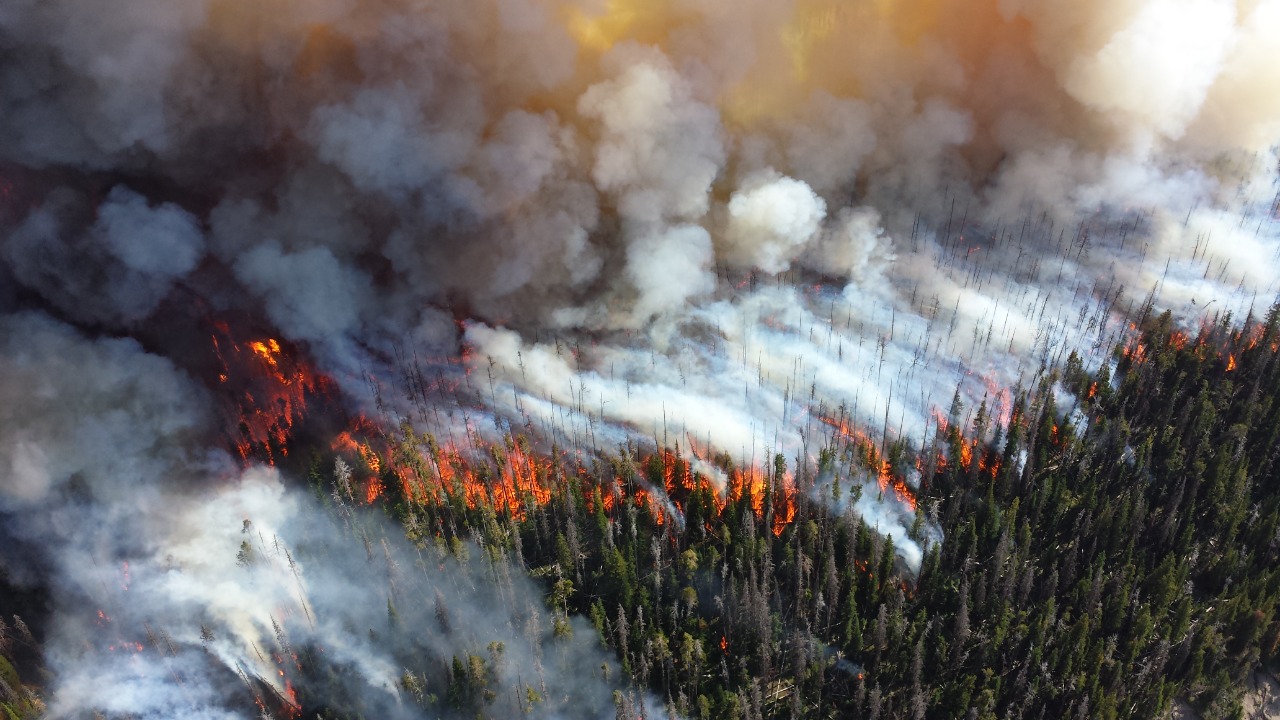 A wildfire near Sedona has charred about 300 acres of Oak Creek Canyon ...