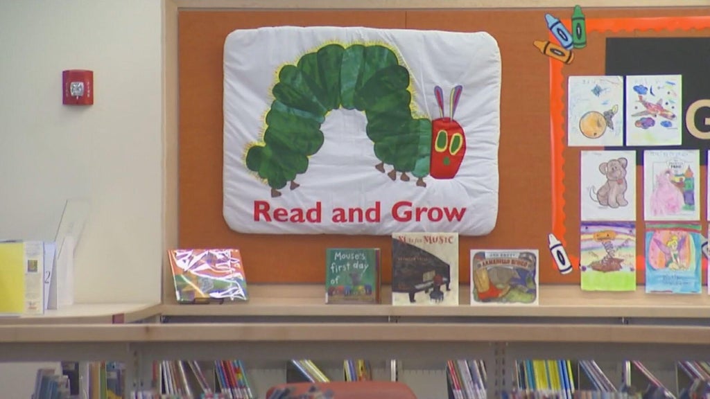 Illinois Secretary of State's office issues $27 million to libraries ...