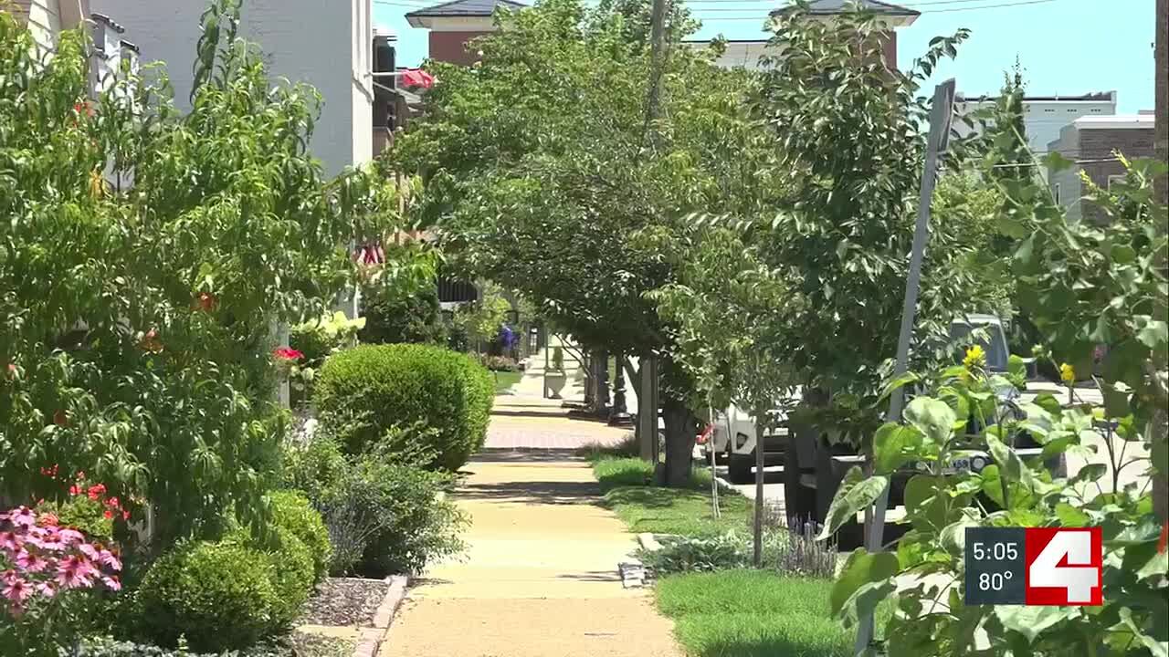 South City alderman plants hundreds of trees in ward