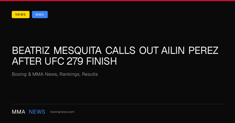 Mesquita: 'The octagon is no place to be twerking'