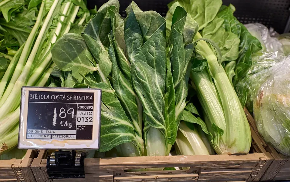 Swiss chard, jicama and hearty salads redefine healthy eating