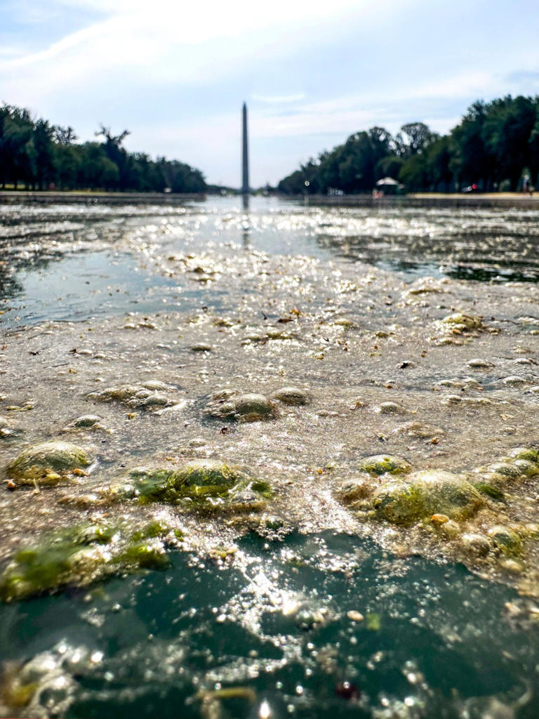Trump threatens ABC News with new lawsuits over Reflecting Pool report ...