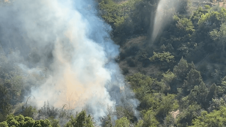 Suspect in Memory Grove brush fire charged with reckless burning