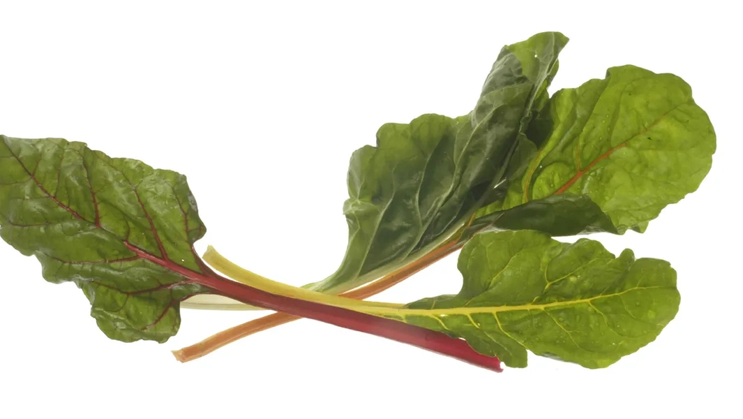 Swiss chard, jicama and hearty salads redefine healthy eating