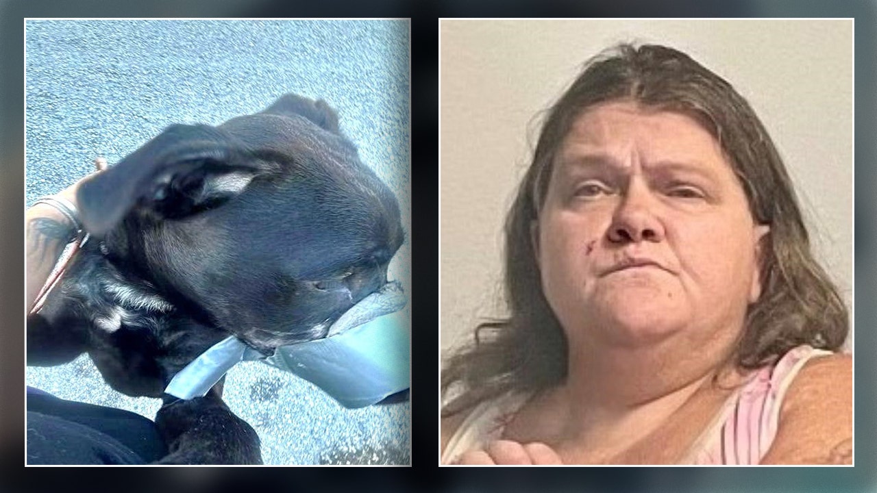 Facebook photo of duct-taped dog leads to animal cruelty arrest, rescue ...