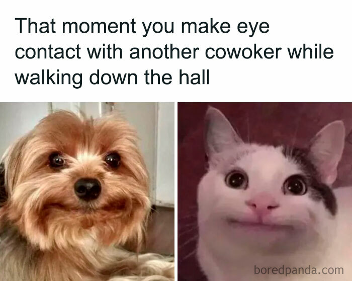 47 painfully spot-on memes to enjoy on your 3rd coffee break