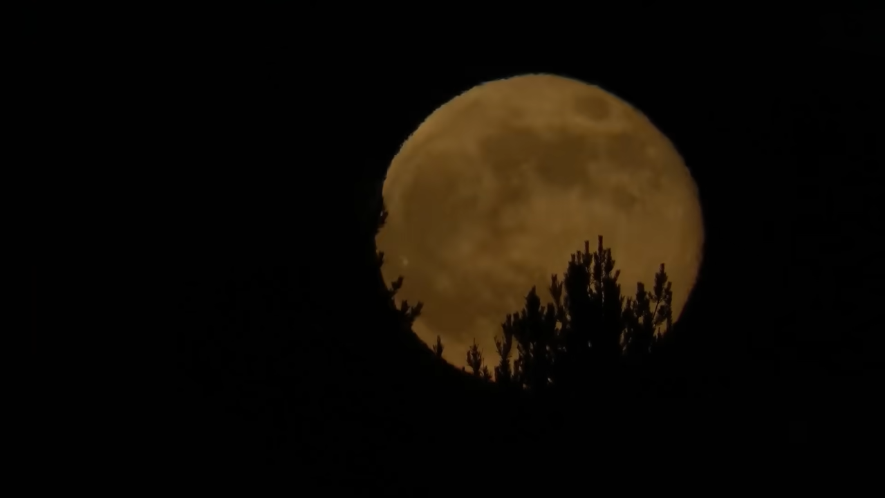 The strange history behind the werewolf legend was not made up - the ...