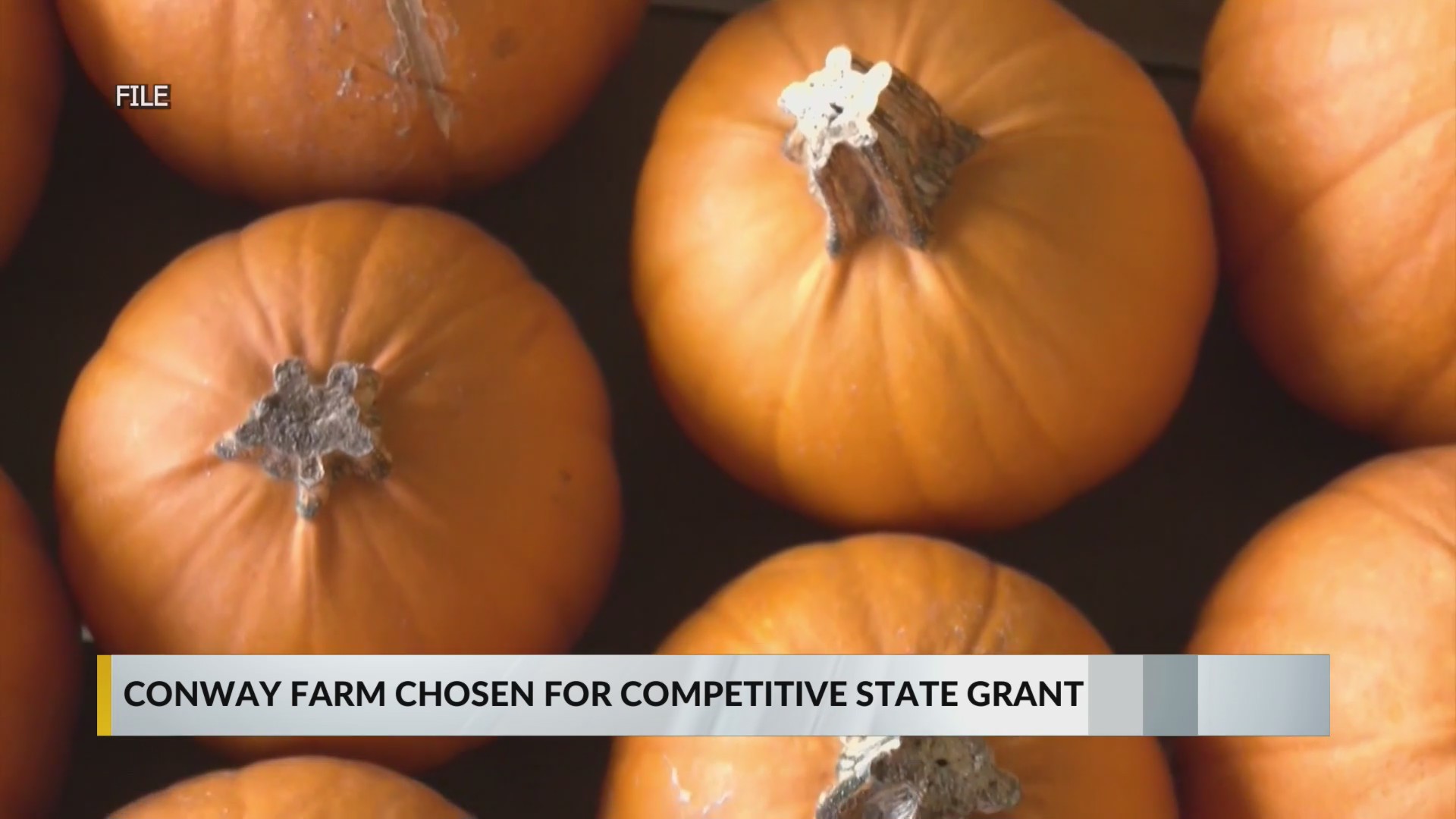 Popular Conway farm gets $20,000 grant to help build new pole barn ...