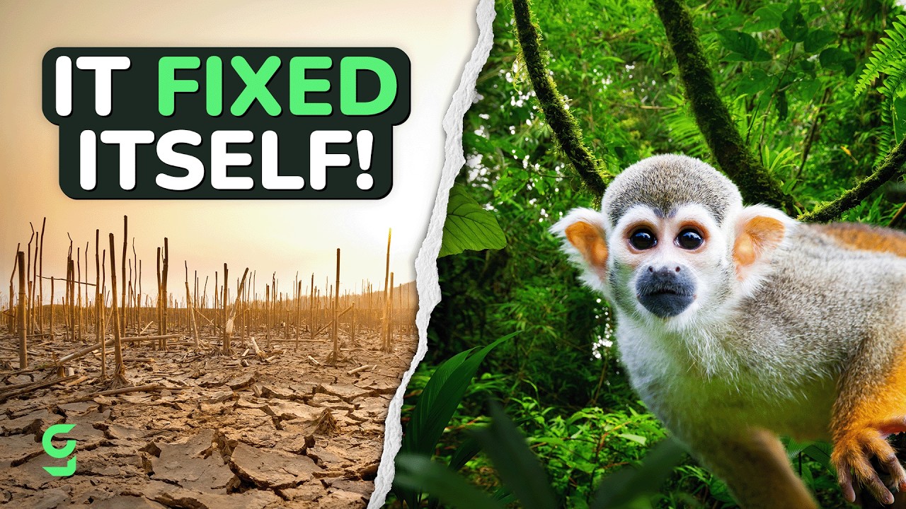 20 million saved: The epic fight against measles