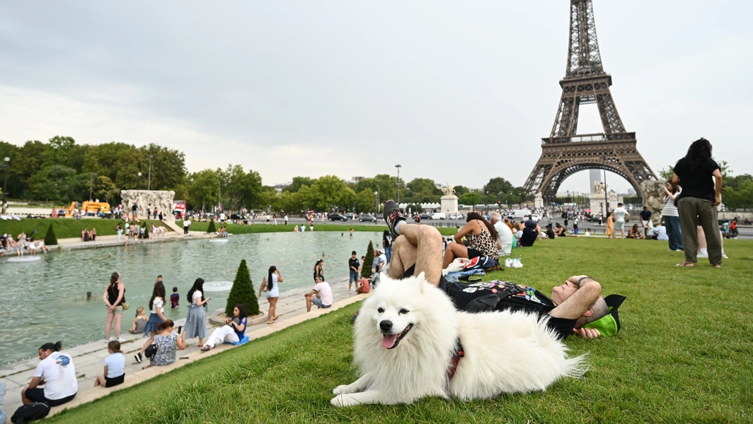 Dogs and iconic Eiffel Tower views