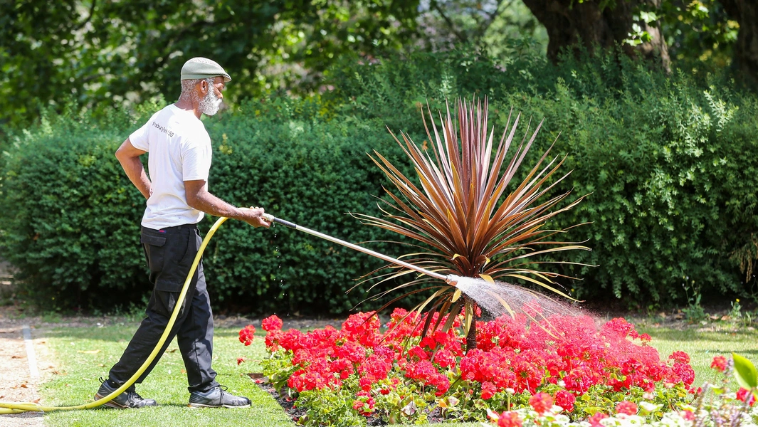 Understanding plant watering needs and risks