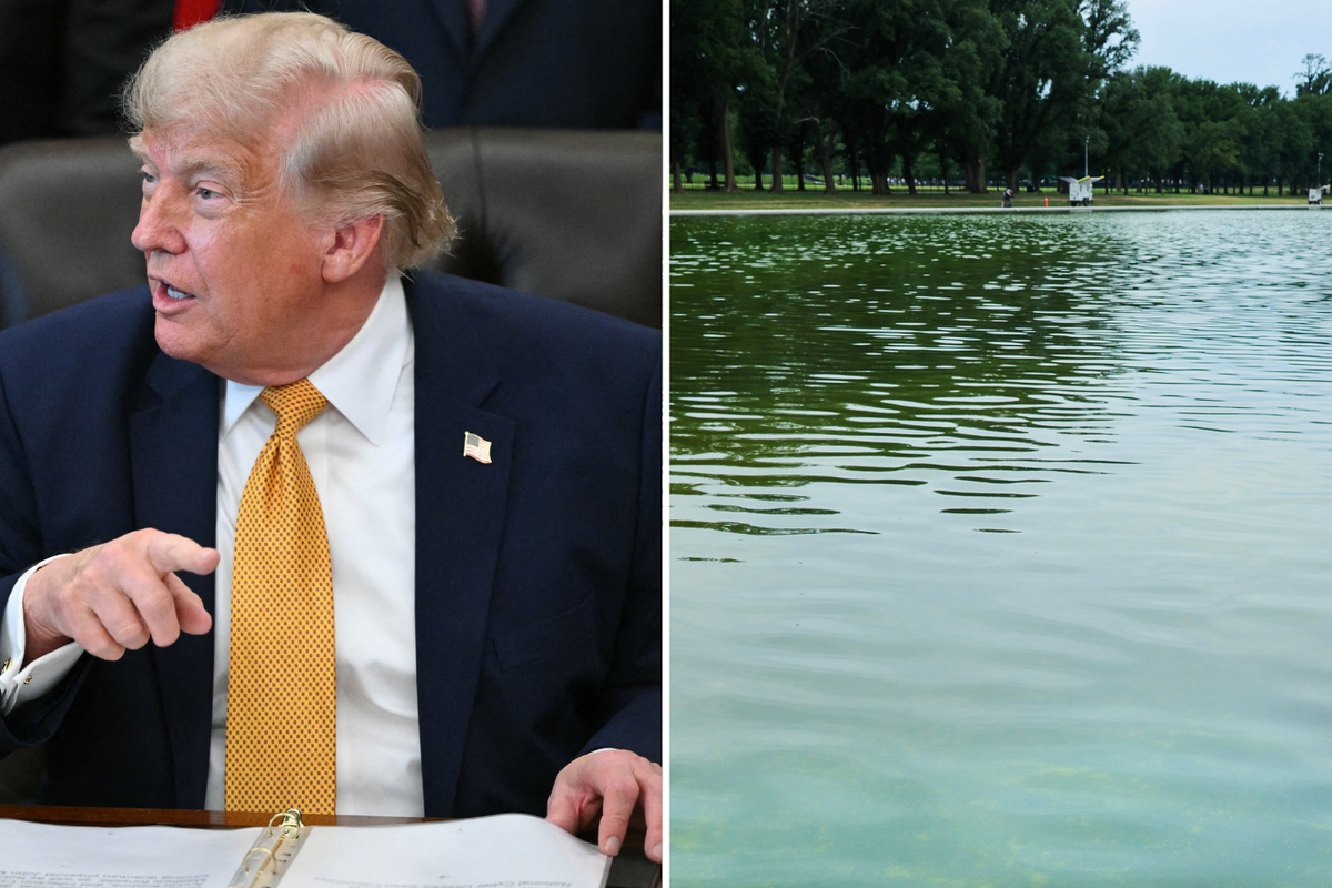 Watch: Trump claims vandals slashed Reflecting Pool surface