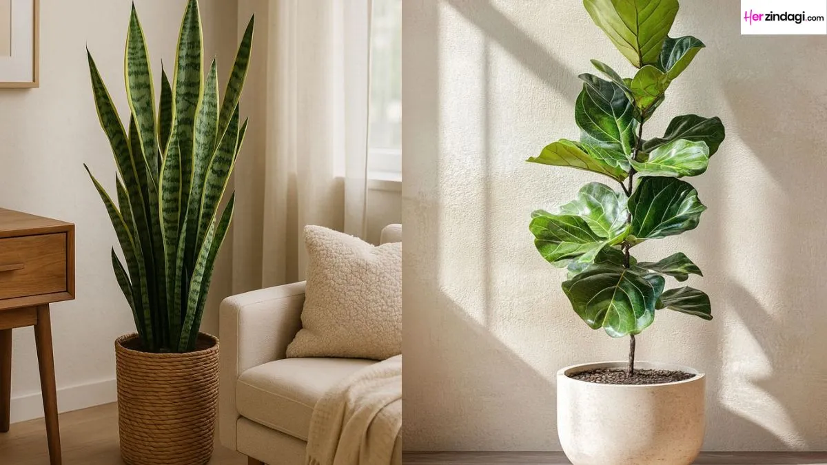 The future of green living: 5 indoor plants that can transform your space