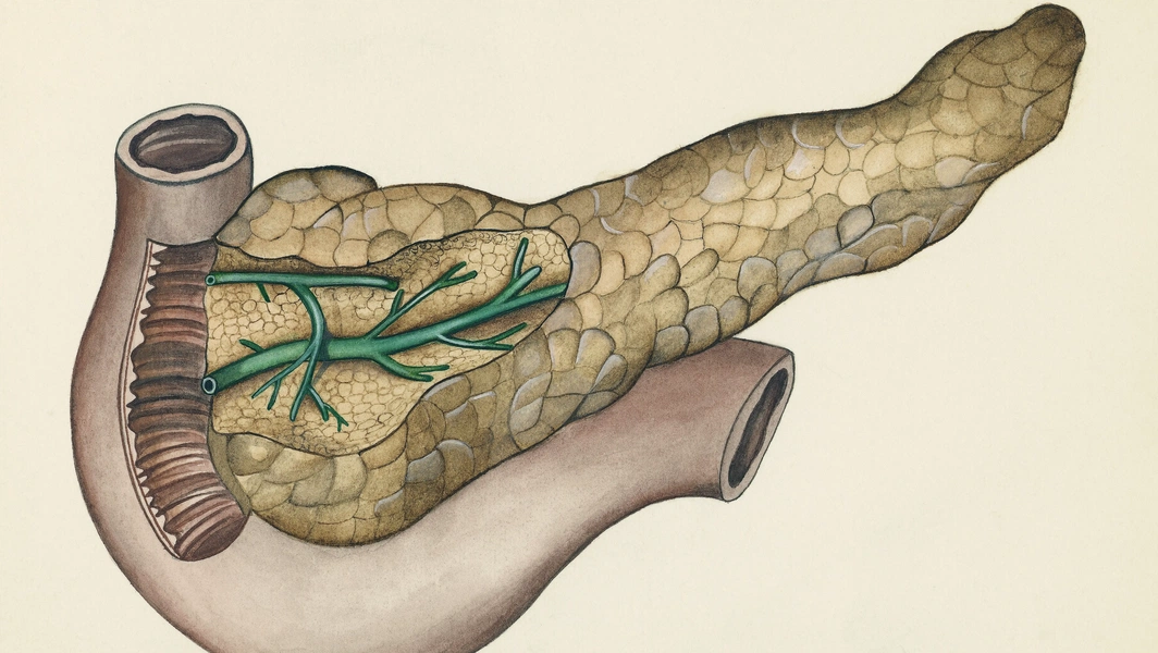 Recognizing and addressing early insulin resistance