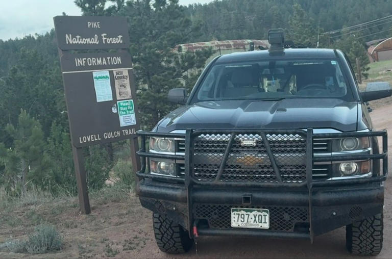 Moose attacks hiker and dogs on Lovell Gulch Trail in Teller County