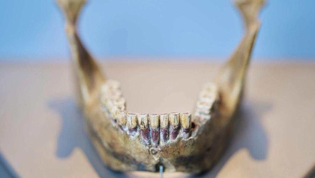 300,000-year-old cave find reveals pivotal human transition